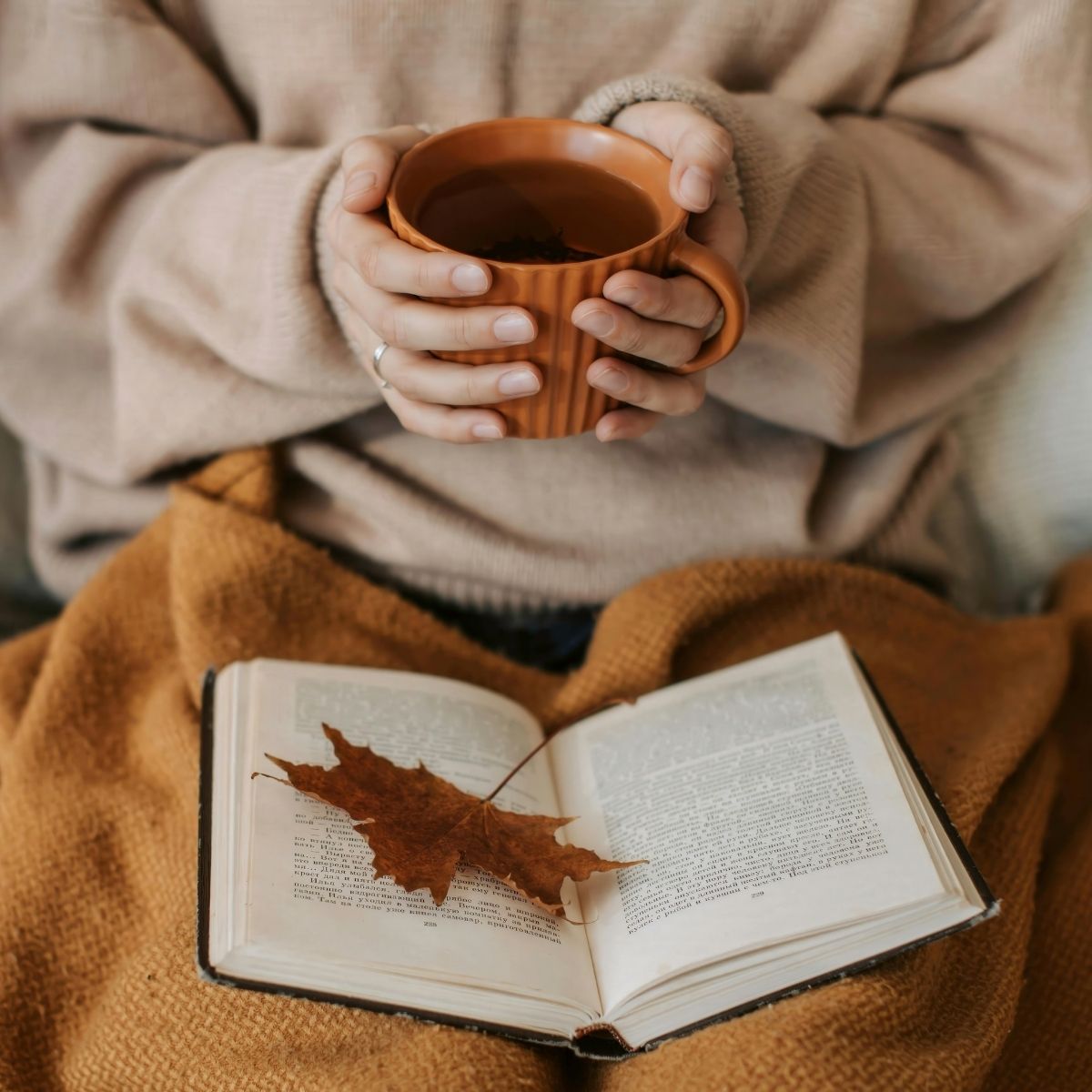 Autumn Roundup - Books, Films, Jumpers & Mugs - Green Homemaking